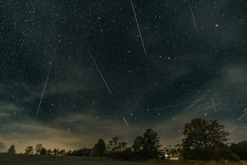 Lluvia de Estrellas Perseidas 2024: Fechas, horarios y lugares para ver en México