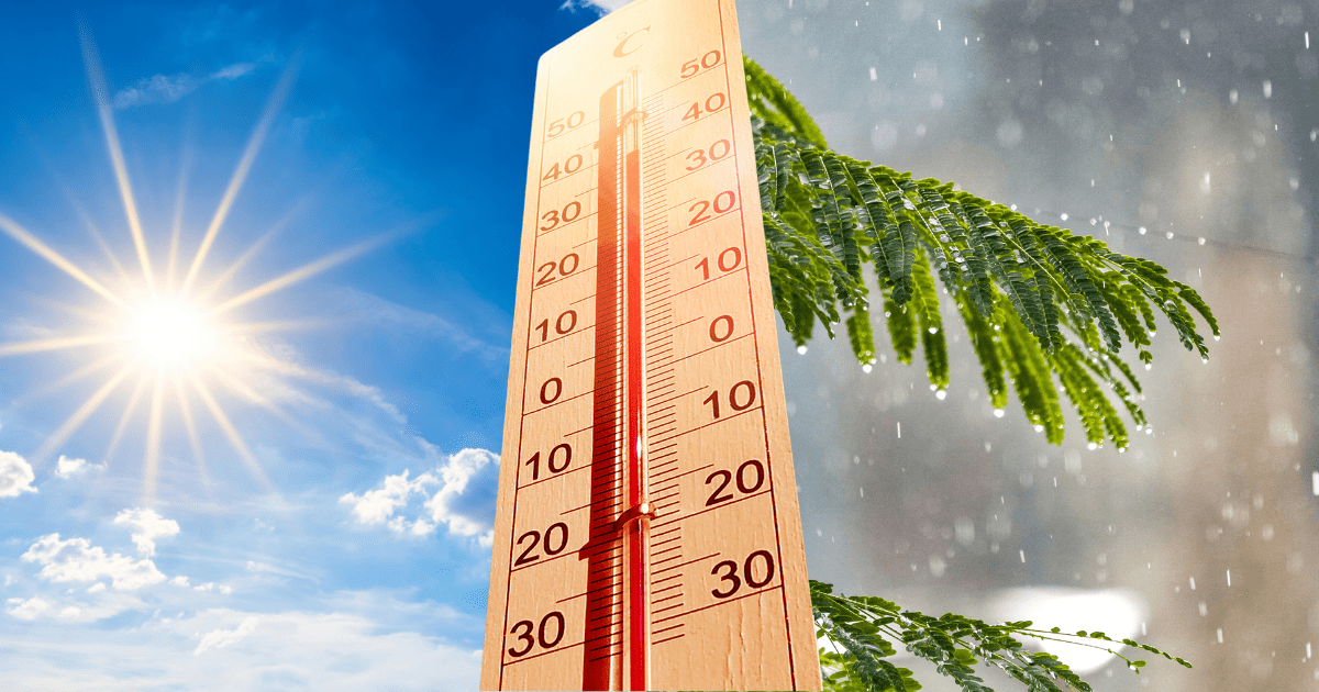 Pronóstico del clima en México hoy 26 de julio: ¿A qué hora lloverá y a qué estados afectará?