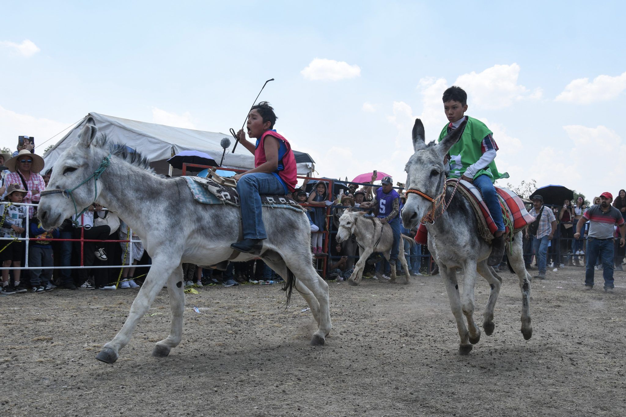 Otumba vibra con la carrera de burros: tradición, color y pura diversión