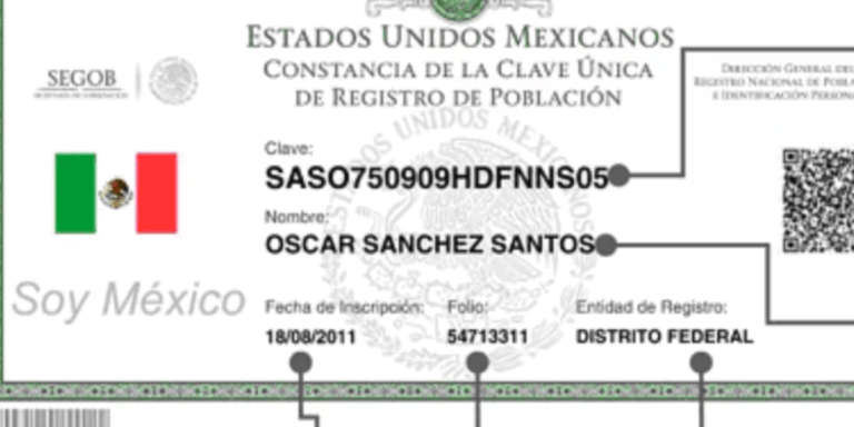 SAT 2025: Cómo sacar e imprimir tu RFC con CURP en línea paso a paso