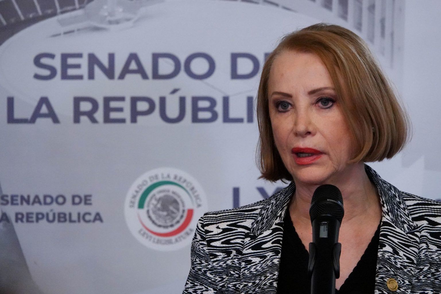 Laura Itzel Castillo y Alejandro Moreno destacan la relación México ...