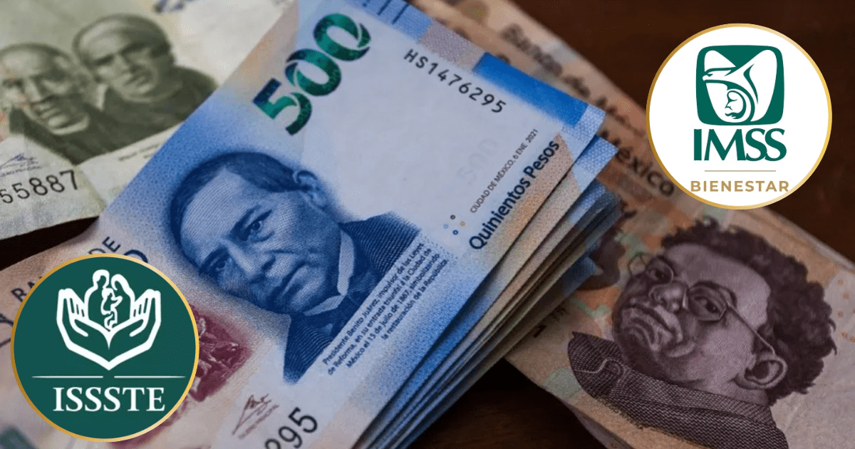 Gái việt nam khoe lồn