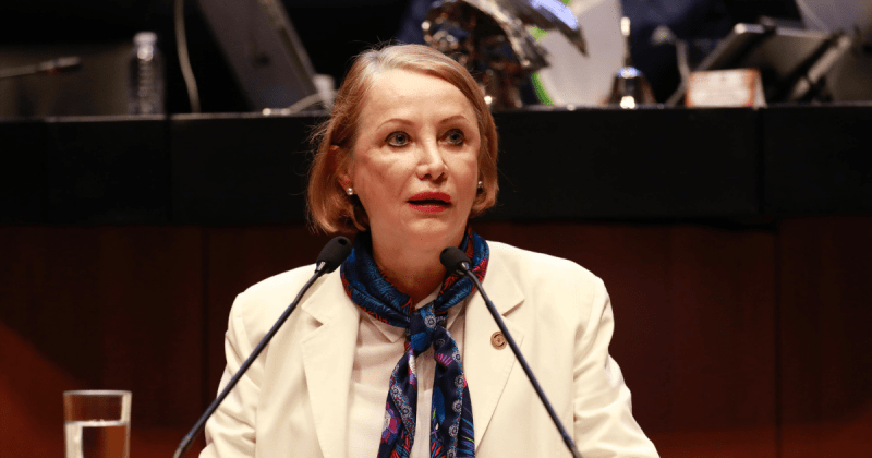 Laura Itzel Castillo afirma que el Congreso avanza en la ruptura del ...