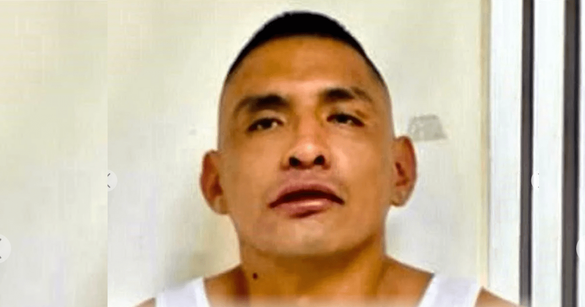 Hombre que acosó a la Presidenta Claudia Sheinbaum es arrestado ¿De quién se trata?